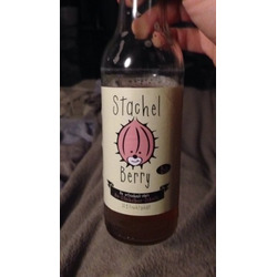 Stachel Berry Bio-Stachelbeer-Schorle Inhaltsstoffe & Erfahrungen