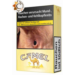 CAMEL Filter Box Inhaltsstoffe & Erfahrungen