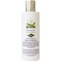 Shampoo BIO Inhaltsstoffe & Erfahrungen